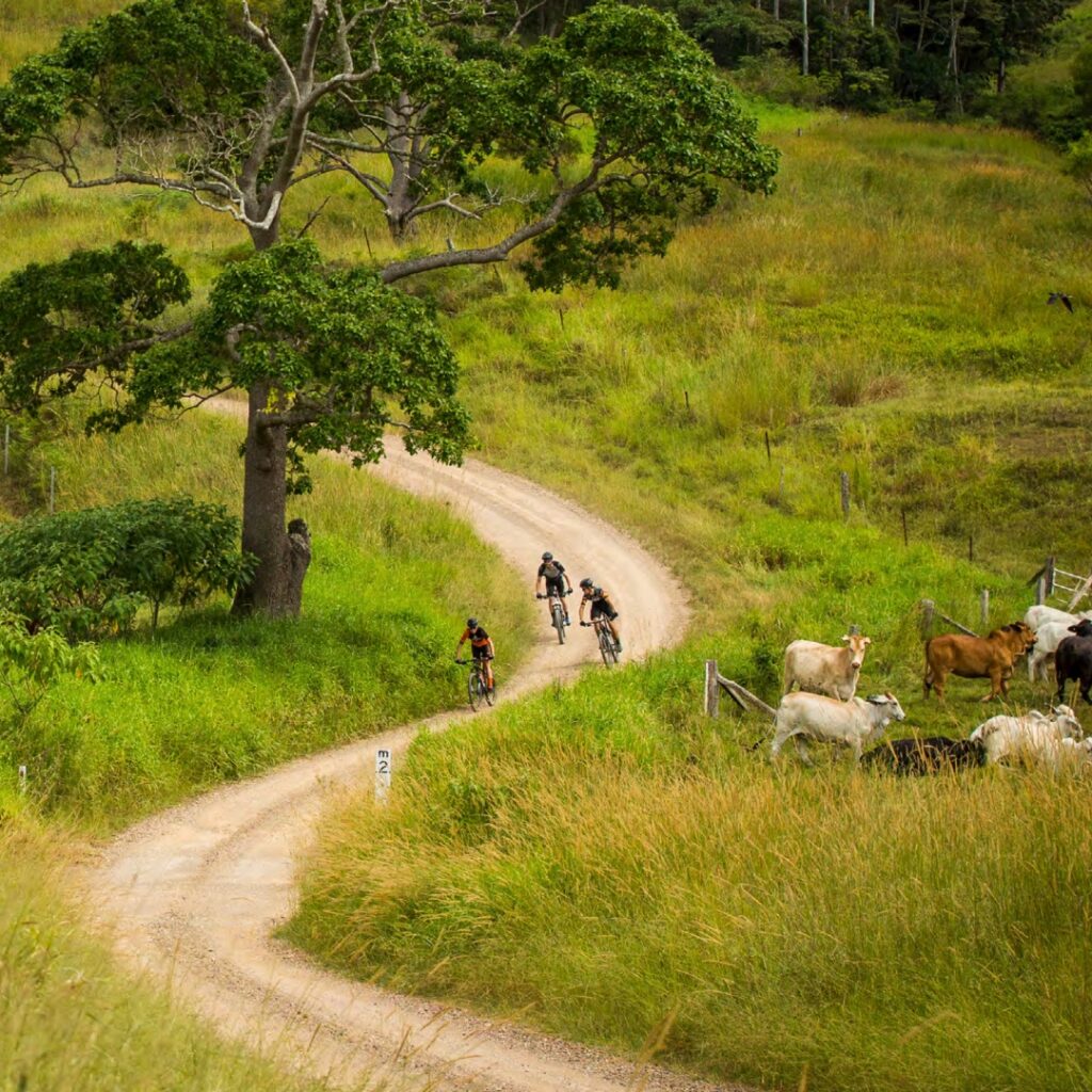 Noosa eBike Tours | Explore Noosa and The Hinterland