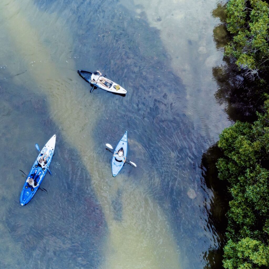 Noosa Southern Everglades UNESCO Biosphere Reserve Tour