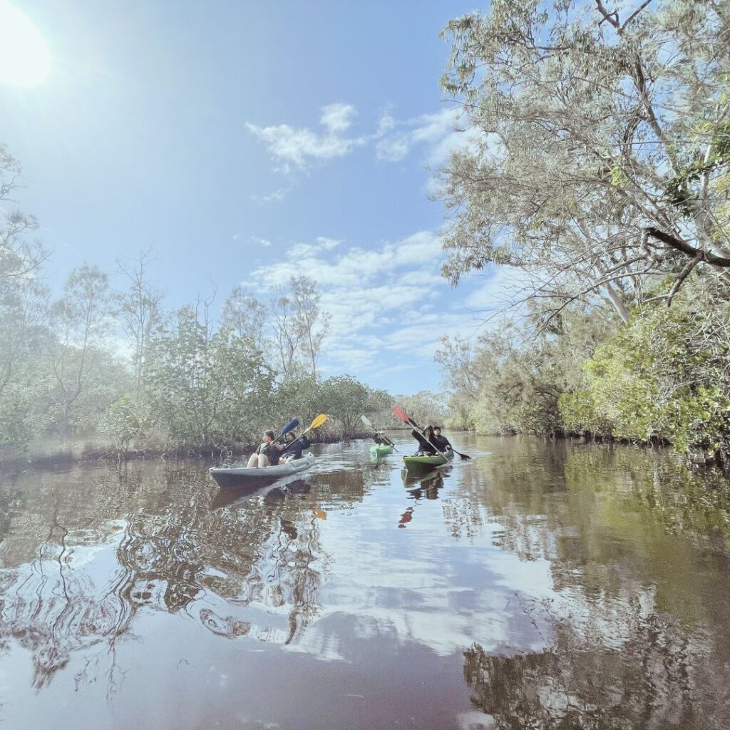 Noosa Southern Everglades UNESCO Biosphere Reserve Tour
