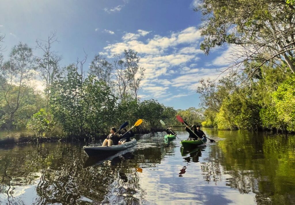 Noosa Stingrays Everglades Southern End Guided Kayak Tours