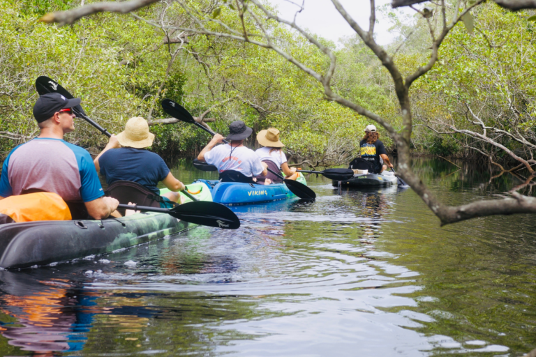 Award Winning Kayak Tours | Noosa Southern Everglades
