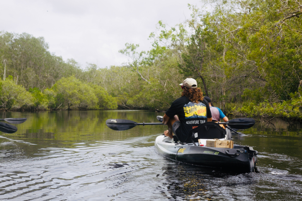 Award Winning Kayak Tours | Noosa Southern Everglades
